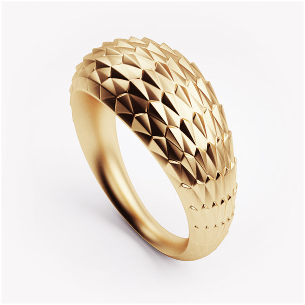 Tortoise Shell - Strength and protection in one piece | Bairez