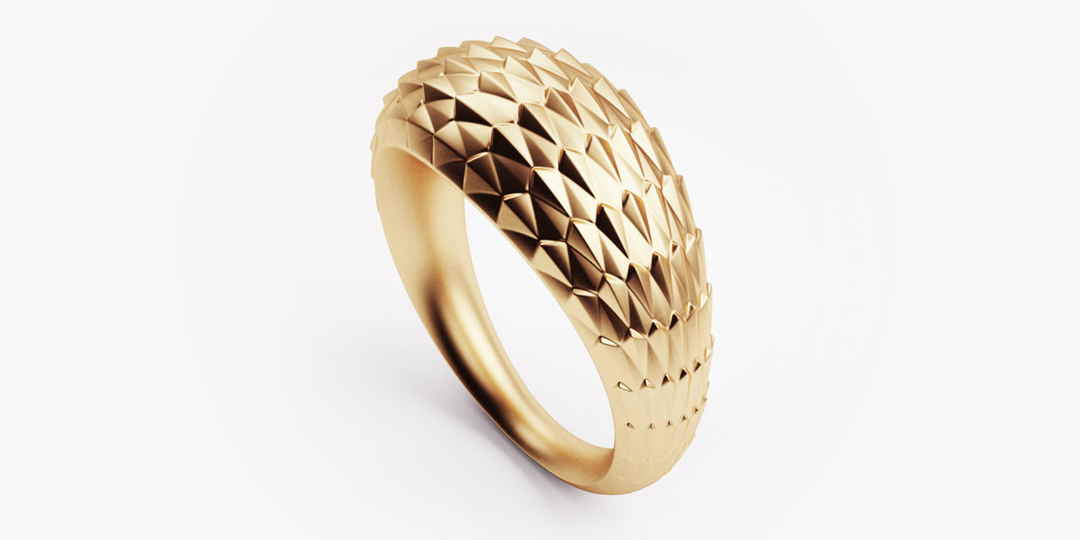 Tortoise Shell - Strength and protection in one piece | Bairez