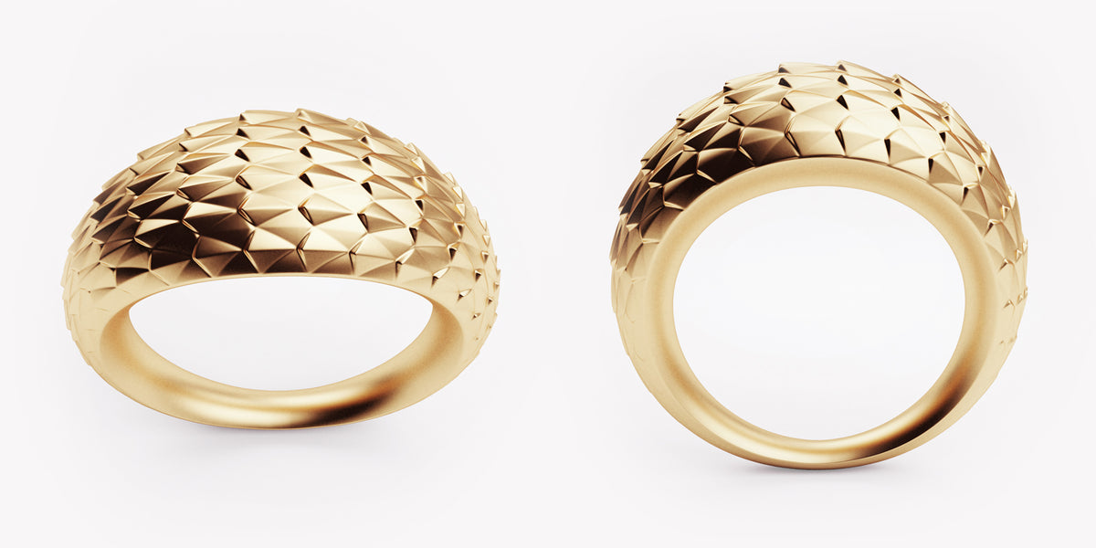 Tortoise Shell - Strength and protection in one piece | Bairez